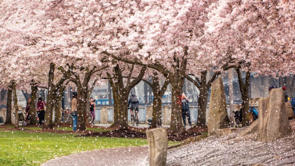 Spring Events in Downtown Portland | The Benson Hotel